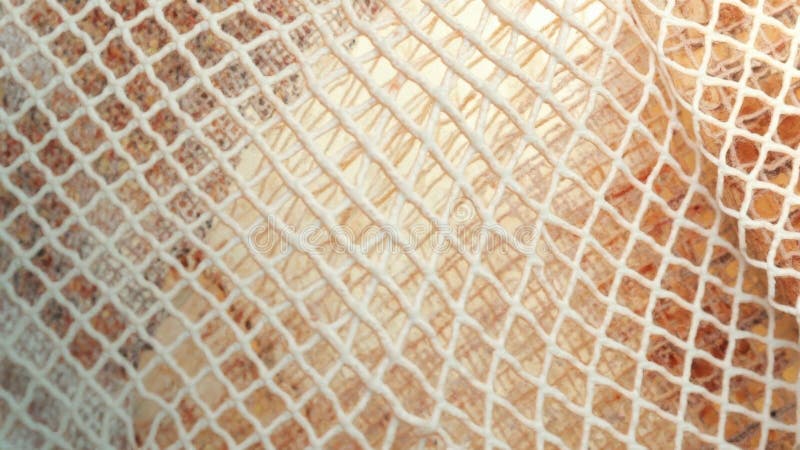 Intricate White Netting Pattern with Warm Light and Shadows Stock ...