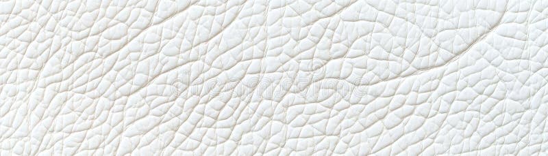 Intricate White Wall Pattern Closeup Exploration of Texture and Design ...