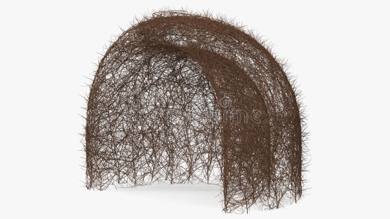 Intricate Wireframe Dome Structure for Architectural Design Stock Photo ...