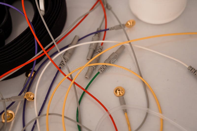 Polysomnography System Wiring Detail: Electrodes, Connectors, White ...