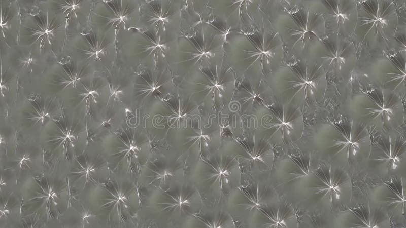 Abstract Pattern of Sparkling Textures on a Gray Background Stock Video ...