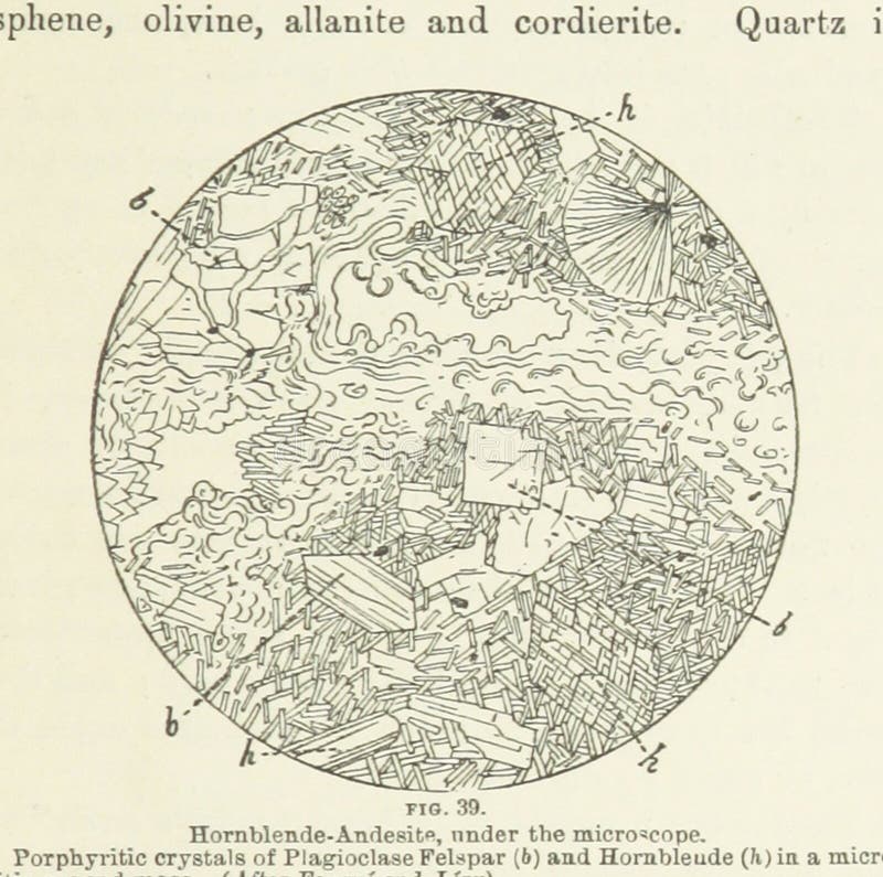 British Library Digitised Image From Page 104 Of "An Introduction To ...