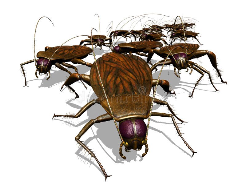 Invasion De Cancrelat - La Vue De L'anomalie Illustration Stock ...