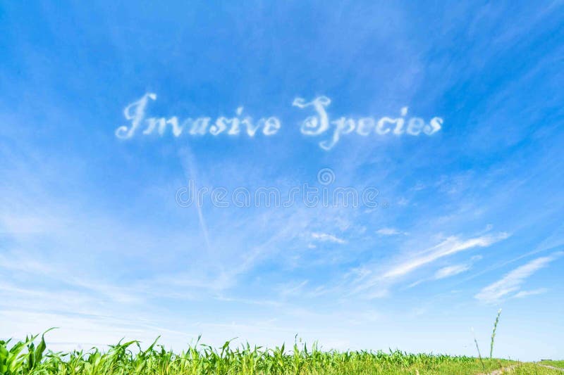 Invasive Species: Non-native Species that Disrupt the Balance of ...