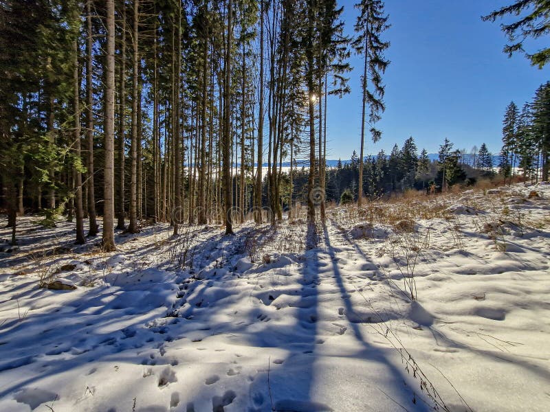 Inverno Nas Montanhas Slovak Tatra Cheias De Neve. Imagem de Stock ... Inverno Nas Montanhas Slovak Tatra Cheias De Neve. Imagem de Stock ...