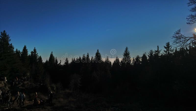 Inversion Fog Behind the Trees in Klet and Alps in Austria in Far Away ...