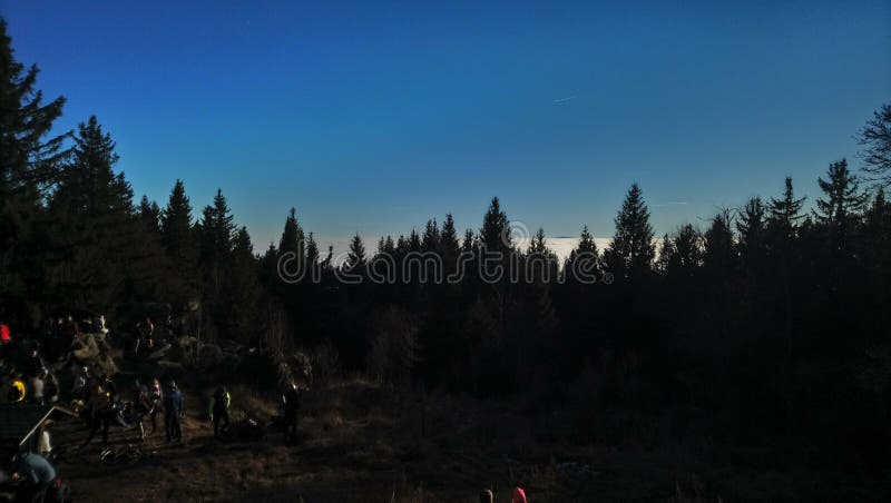 Inversion Fog Behind the Trees in Klet and Alps in Austria in Far Away ...