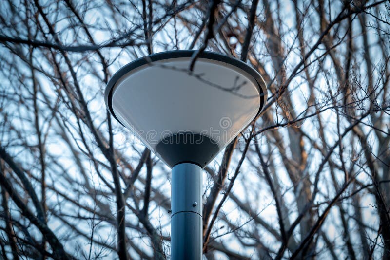 Inverted Cone Type Street Lamp in the Woods Stock Image - Image of ...