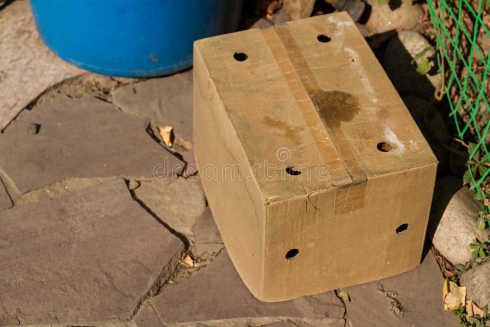 Empty Cardboard Box in Beige Color in the Sun Stock Photo - Image of ...