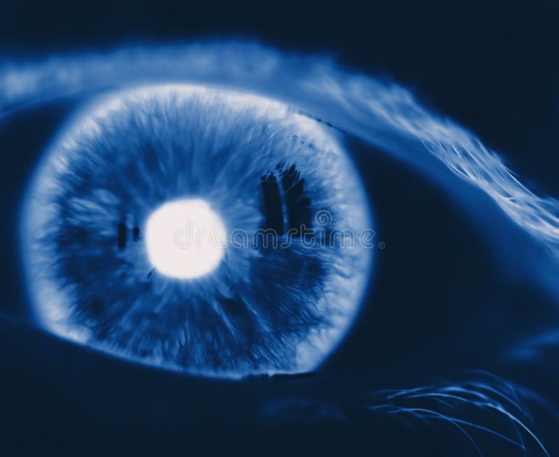 Inverted eye stock photo. Image of digital, colors, people - 548882