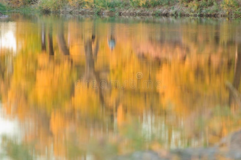 Inverted image stock image. Image of populus, fall, golden - 35982993