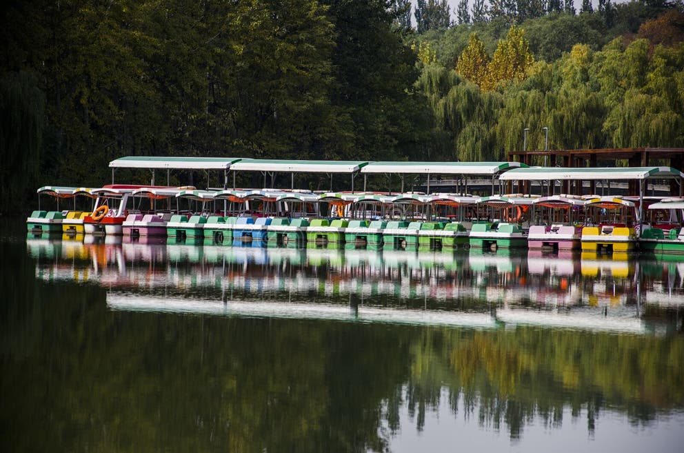 Inverted Reflection in Water Stock Photo - Image of river, forest ...