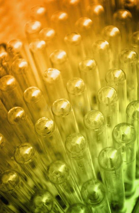 Inverted Test Tubes in Metal Racks, Vertical Stock Image - Image of ...