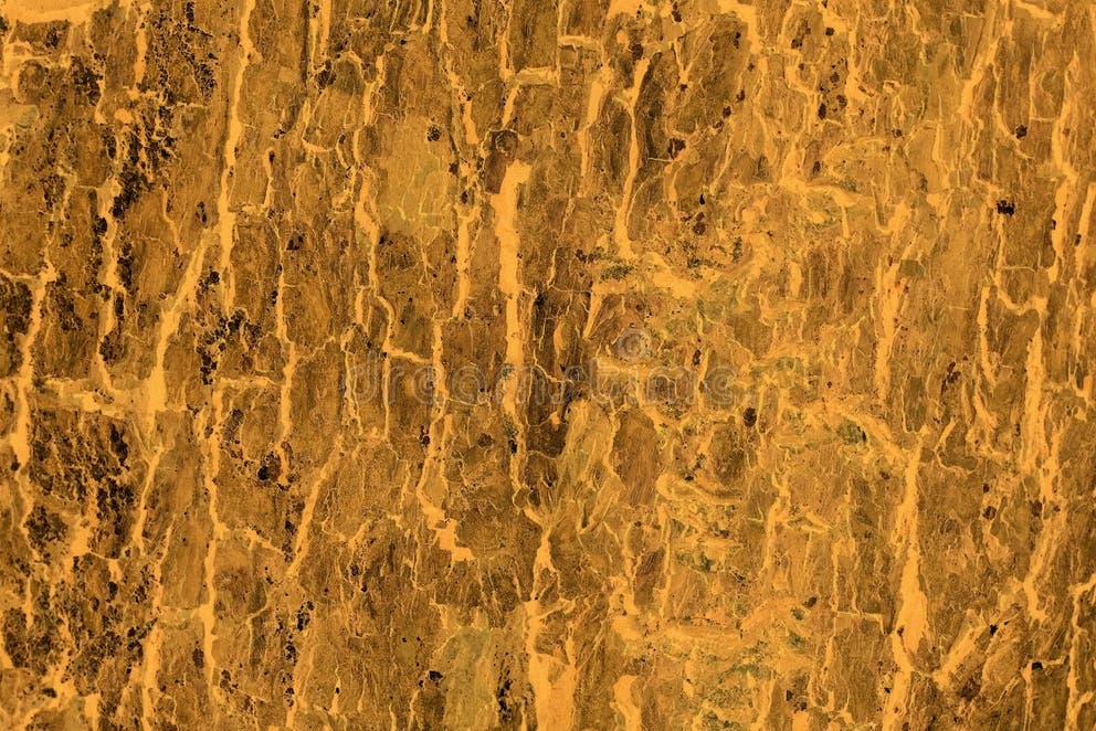 Inverted wood texture stock image. Image of golden, forrest - 40185