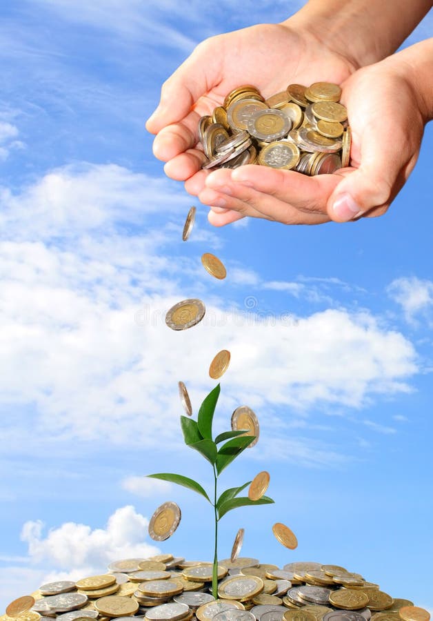 Invest money concept stock photo. Image of flower, gold - 11738214