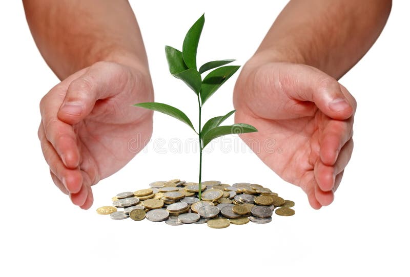 Invest money concept stock photo. Image of business, bank - 11933842