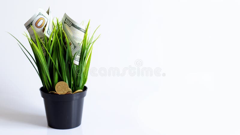 Investment or Saving Concept on White Background Stock Image - Image of ...