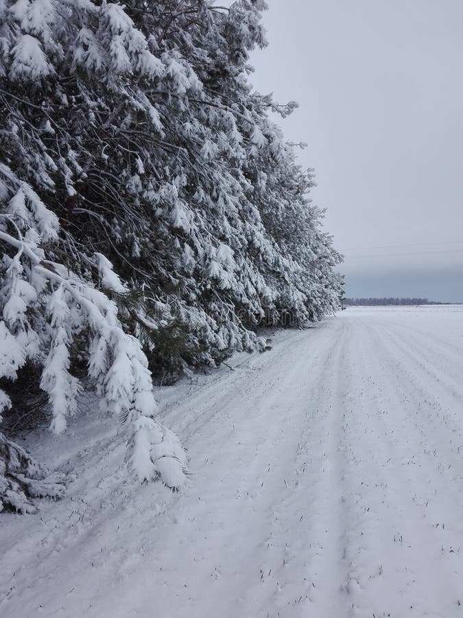 Invierno severo imagen de archivo. Imagen de hielo, humo - 12705559