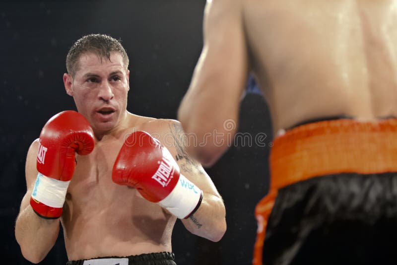 The Invincibles 6 Boxing Gala Editorial Stock Image - Image of counting ...