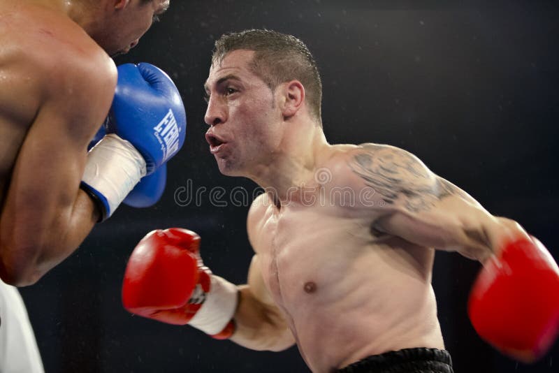 The Invincibles 6 Boxing Gala Editorial Stock Image - Image of punch ...