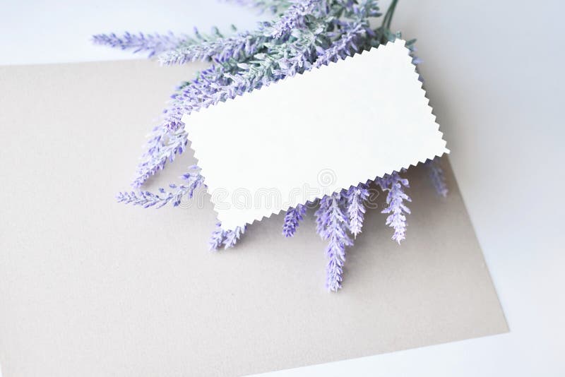Invitation Card with Empty Space for Text on Lavender Background Stock ...