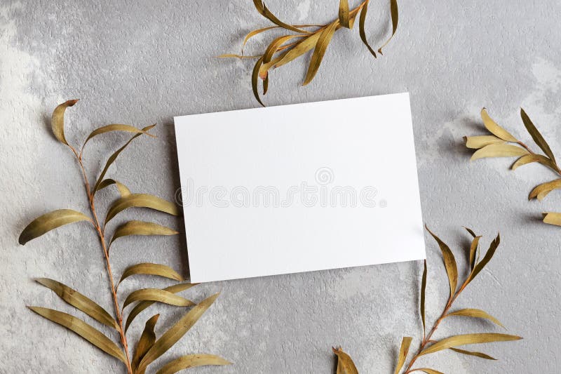 Invitation or Greeting Card Mockup with Natural Eucalyptus Twigs Frame ...