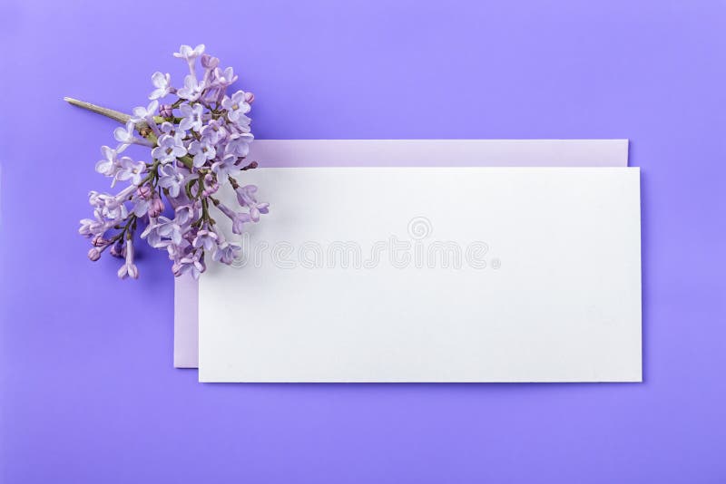 Invitation Mockup, Empty Blank Greeting Card with Envelope and Lilac ...
