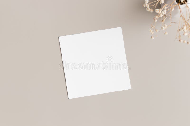 Invitation Square Card Mockup with Gypsophila Stock Image - Image of ...
