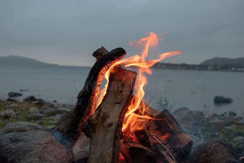 Inviting Campfire on the Beach during the Summer, Bring Back Fond ...