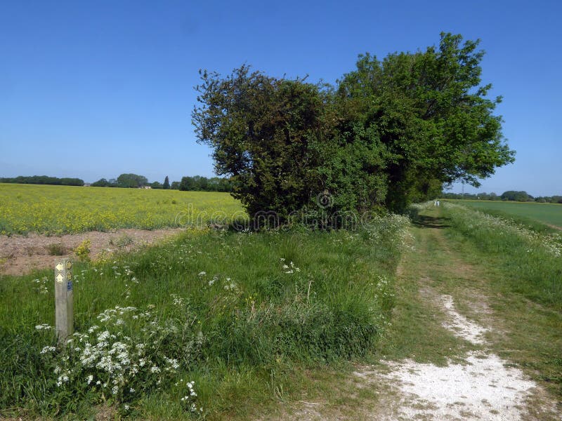 Inviting Path through Fields Stock Photo - Image of amlyd, blue: 275695642