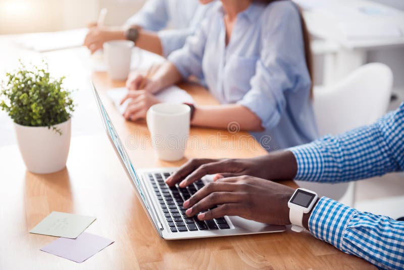 Involved Colleagues Working Together Stock Photo - Image of flower ...