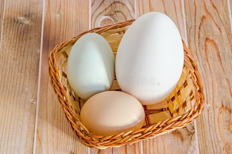 Collectie Eieren, Groot Wit Ganzenei, Lichtgroen Eendenei, Lichtbruin ...