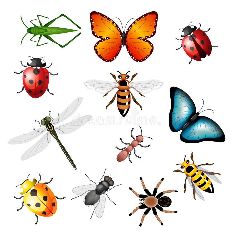 Inzameling van insecten 2 vector illustratie. Illustration of blauw ...