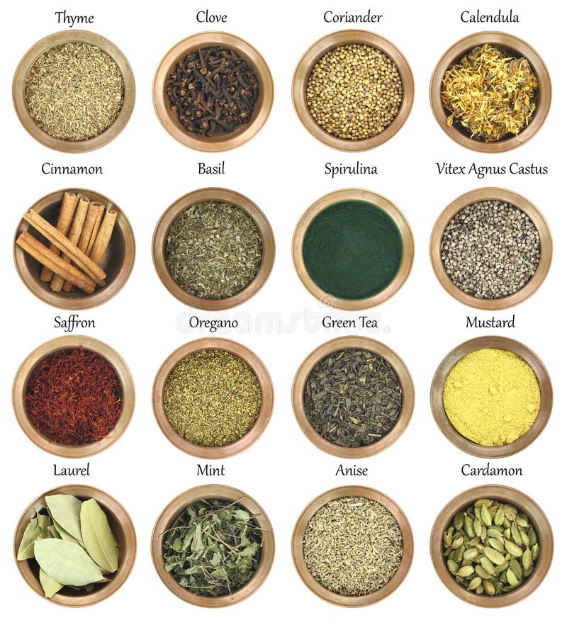 Inzameling Van Kruiden En Kruiden Stock Afbeelding - Image of zaad ...