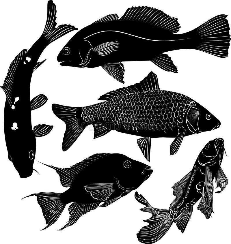 Karper Chinees Symbool Van Goede Geluk, Moed, Persistentie, Volharding ...