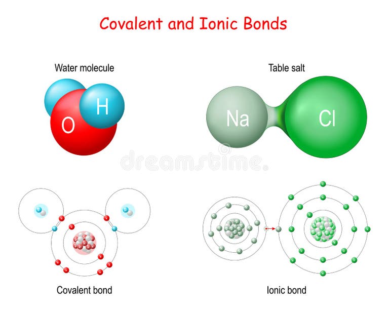 Bond Covalent Stock Illustrations – 465 Bond Covalent Stock ...