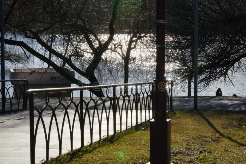 IOR Park at midday stock photo. Image of branch, backyard - 248346754