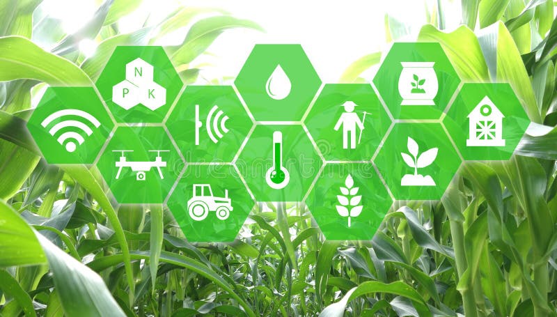 Iot, Internet of Things, Agriculture Concept, Smart Robotic Artificial ... Iot, Internet of Things, Agriculture Concept, Smart Robotic Artificial ...