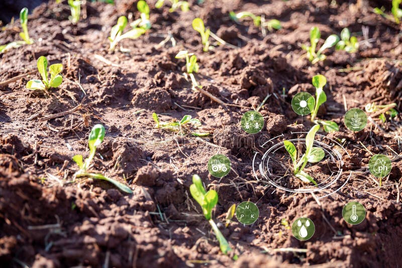 IoT, Internet of Things Modern Agriculture Smart Farming System Concept ...