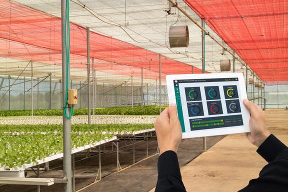 Iot Smart Industry 4.0 Agriculture Concept,industrial Agronomist,farmer ...