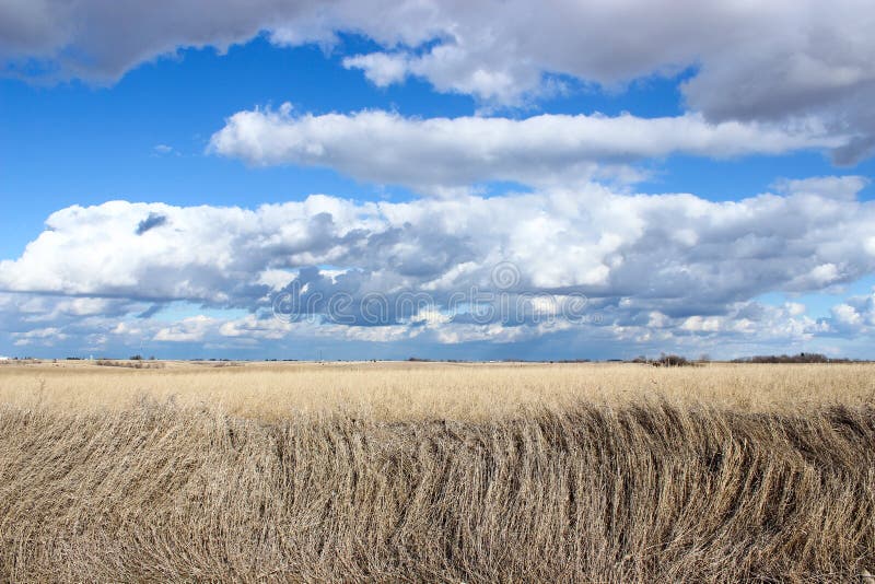 Iowa Landscape stock image. Image of green, panoramic - 44450121