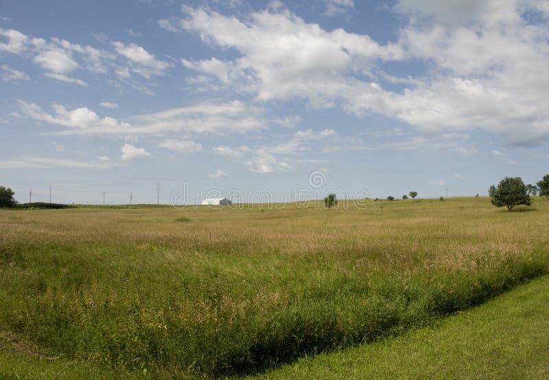 Iowa Field stock image. Image of fluffy, clouds, trees - 13370661