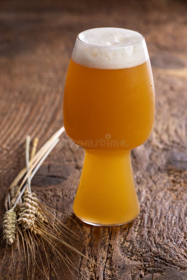 Ipa in a glass stock photo. Image of brewing, alcohol - 256348924