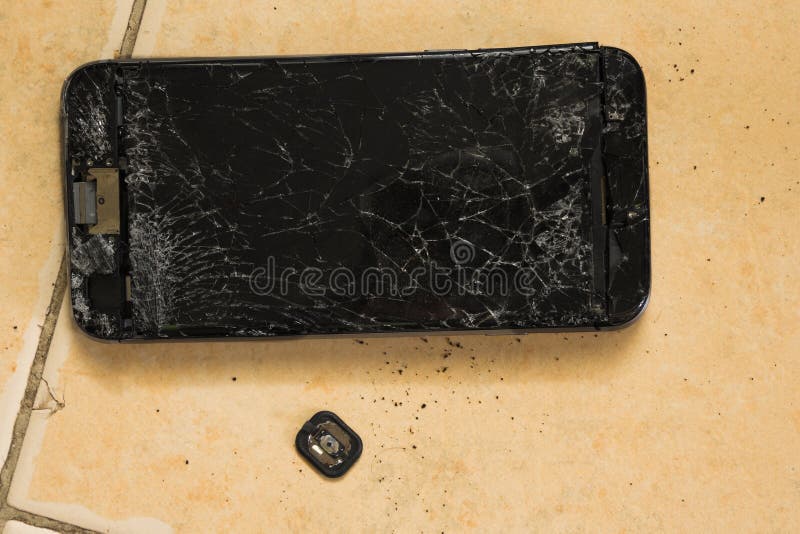 Briddled Stock Photos - Free & Royalty-Free Stock Photos from Dreamstime