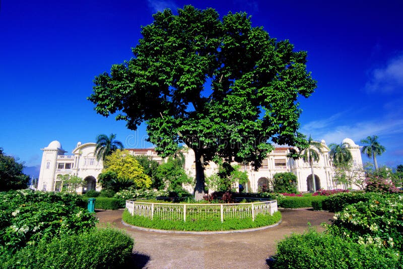 The Ipoh Tree editorial photography. Image of blowpipes - 26769582