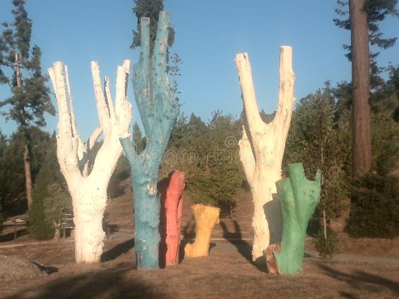 Tree colors stock image. Image of garden, colors, tree - 144224029