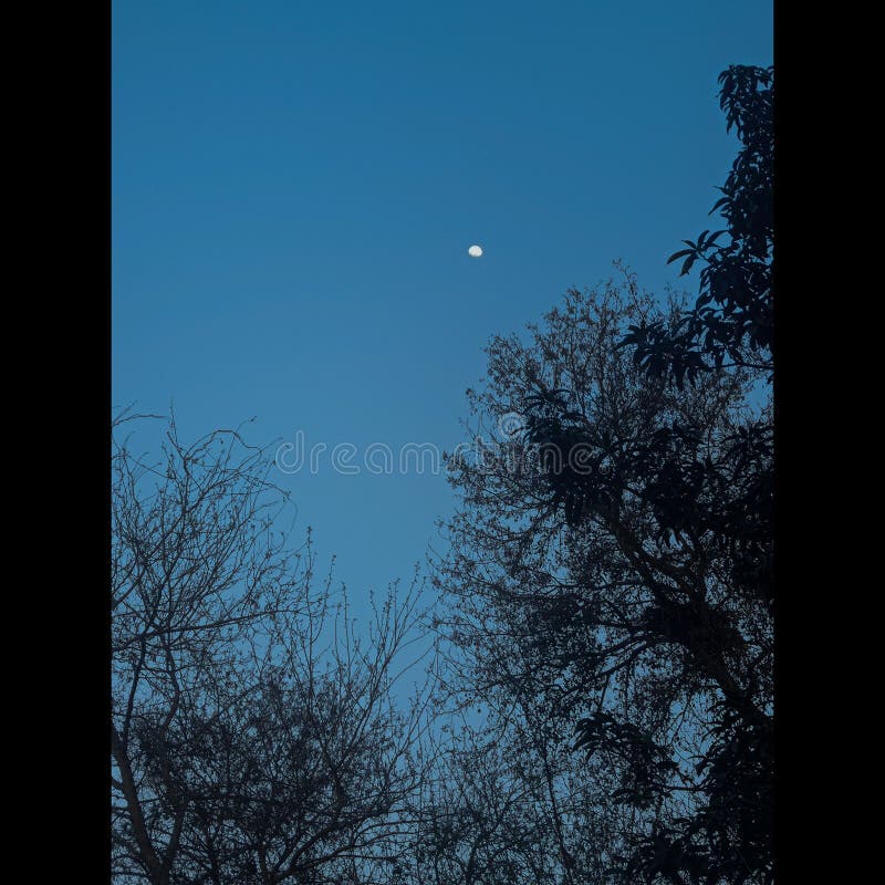 Jinnah Lahore Photos - Free & Royalty-Free Stock Photos from Dreamstime