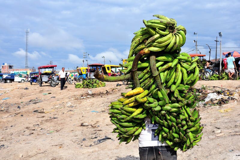 Stapel Van Groene Afrikaanse Bananen Die Op Fiets Bij Verse Markt in ...