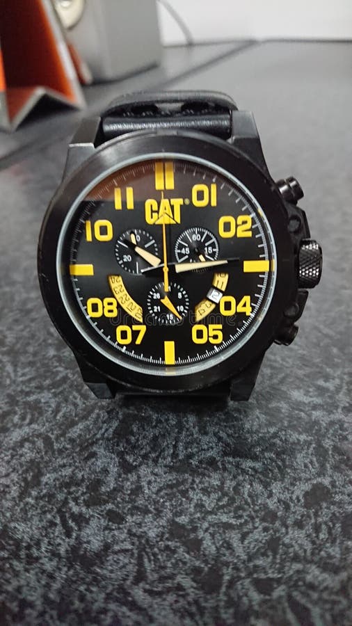 Iran caterpillar editorial photo. Image of nice, black - 133619951