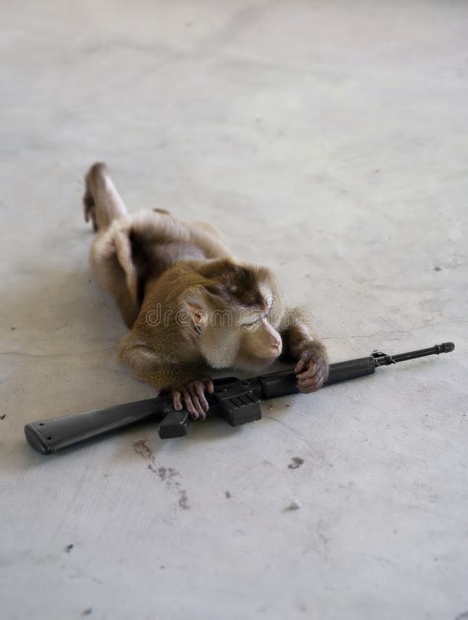 Monkeys With Weapons